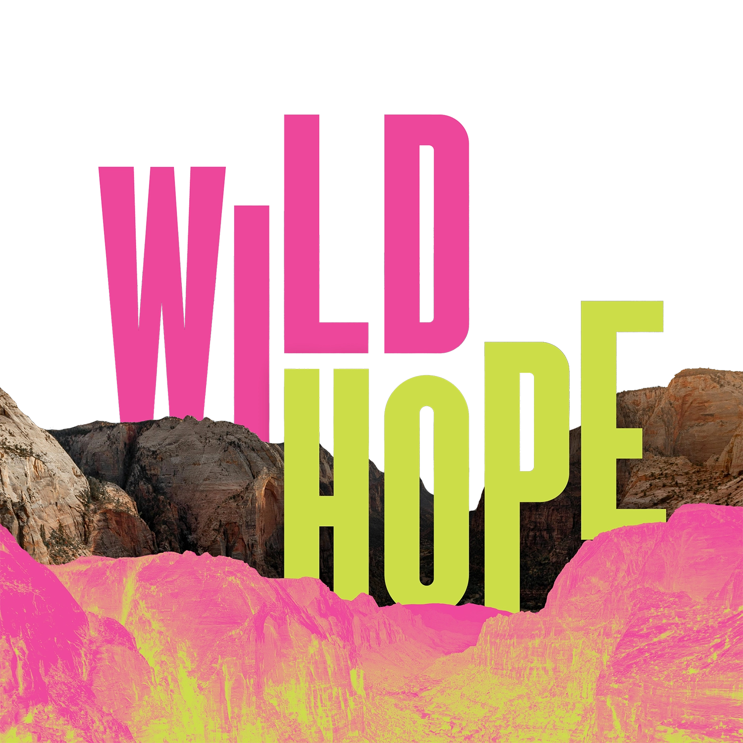 24-25 Theme Reveal | MomCo