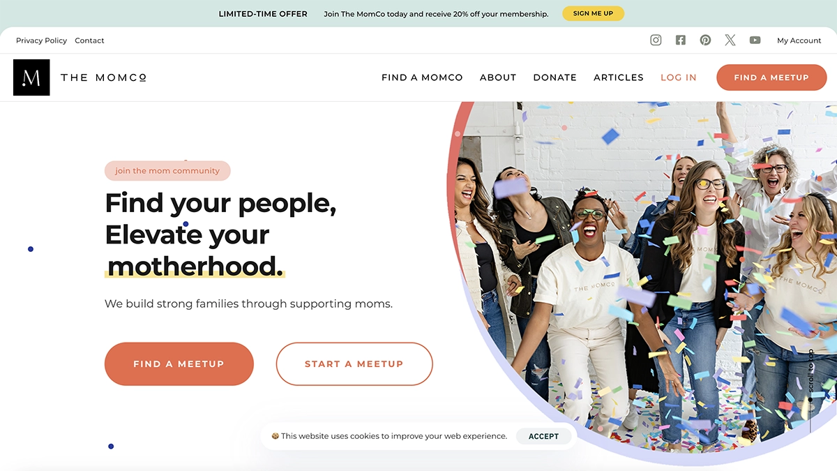 When Your Bundle of Joy Brings a Bundle of Blues: Understanding ...